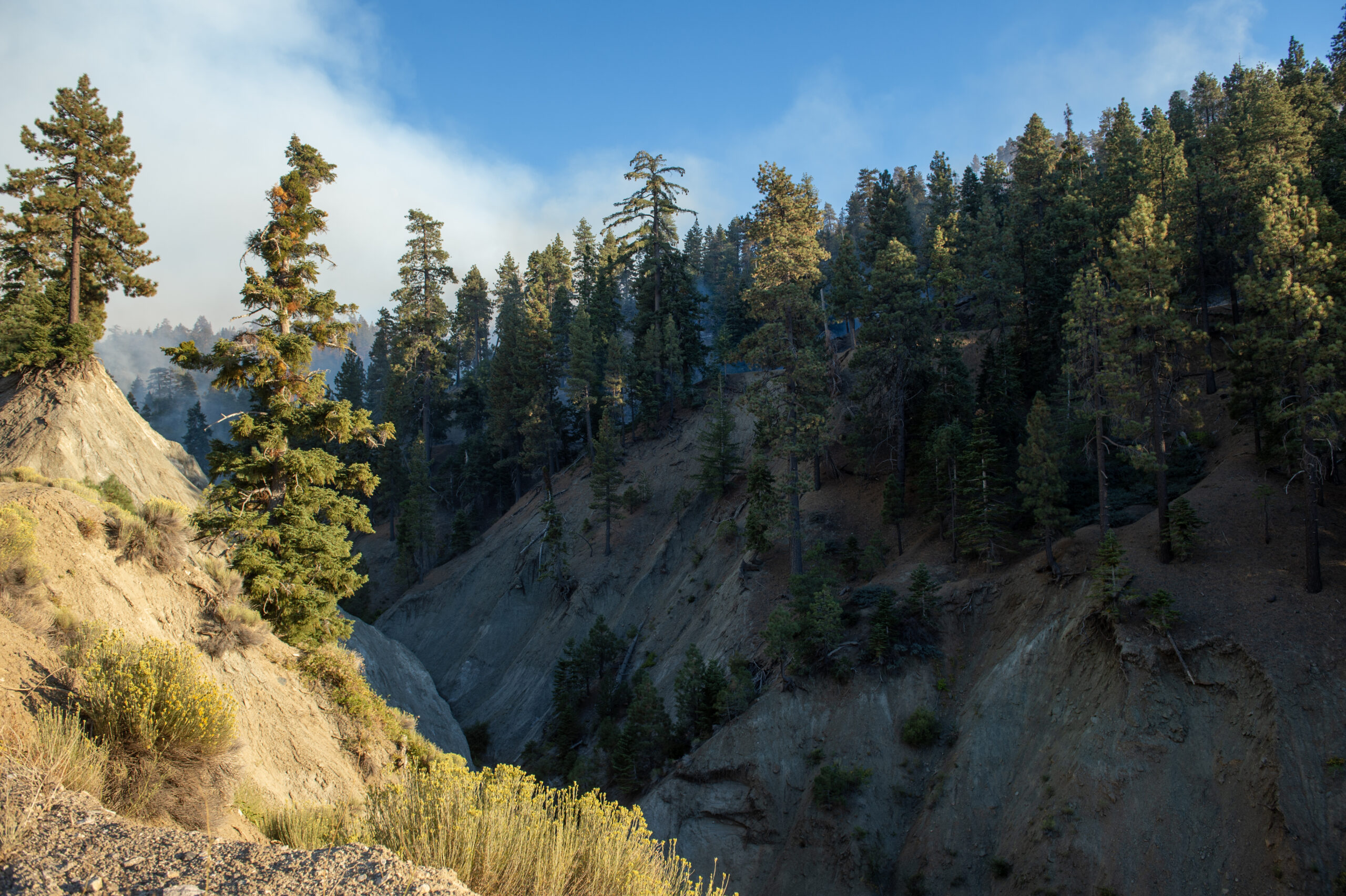 Brdige Fire Wilderness – LA County Recovers